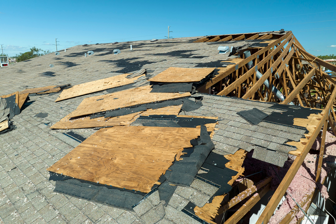 How To Spot Signs Of Roof Damage Before They Escalate